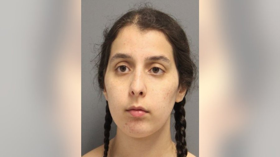 Delaware University Student Banned from Campus Over Defacing a Graphic ...
